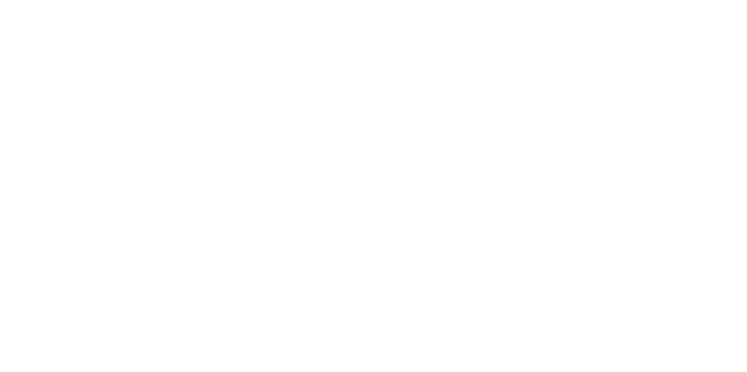 Career • Raynet • Discover to Manage