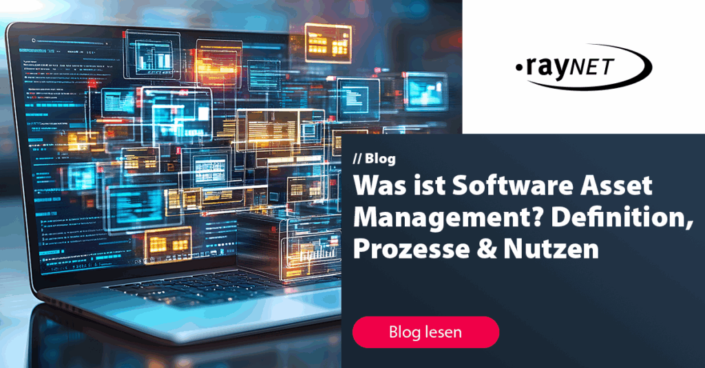 True IT Asset Visibility für erfolgreiche IT-Initiativen • Raynet